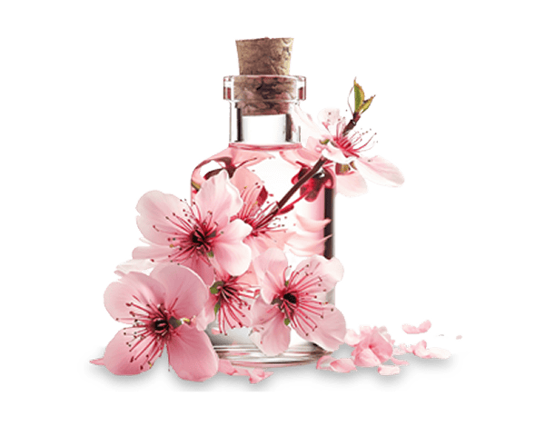 Glowming Philippines – Our mission is to revolutionize wellness ...